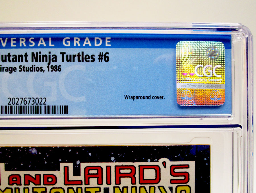 Teenage Mutant Ninja Turtles #6