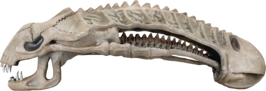 Aliens Alien Skull 1/1 Scale Foam Prop Replica