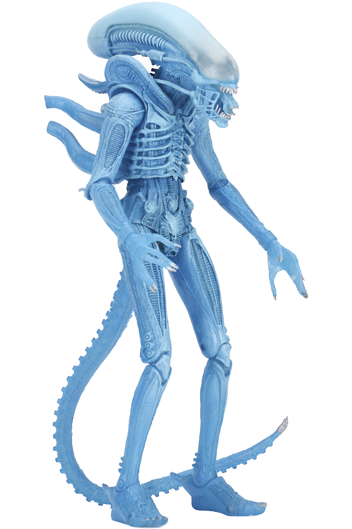 Aliens Series 11 Alien Warrior Kenner 7-Inch Action Figure