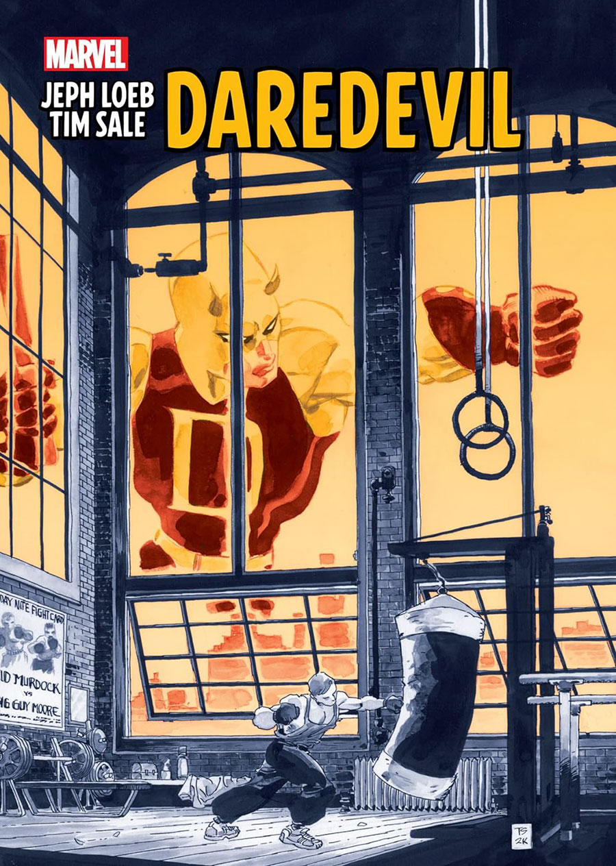 Jeph Loeb & Tim Sale Daredevil Gallery Edition HC Book Market Tim Sale ...