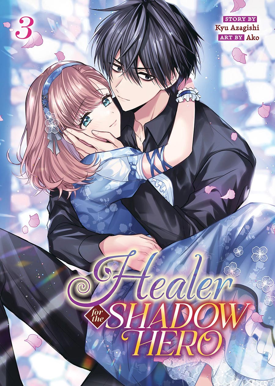 Healer For The Shadow Hero Vol 3 GN